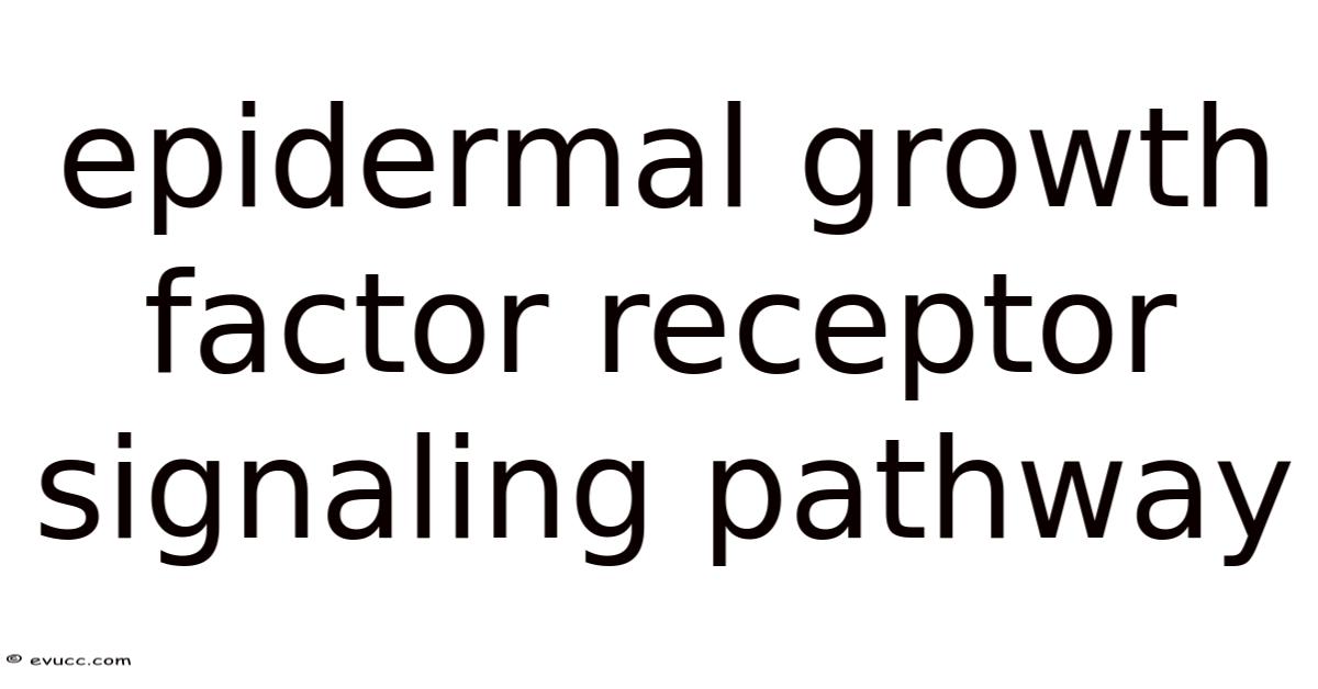 Epidermal Growth Factor Receptor Signaling Pathway