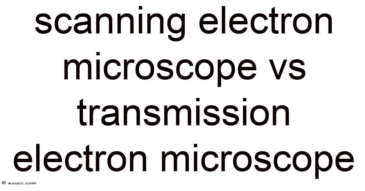 Scanning Electron Microscope Vs Transmission Electron Microscope